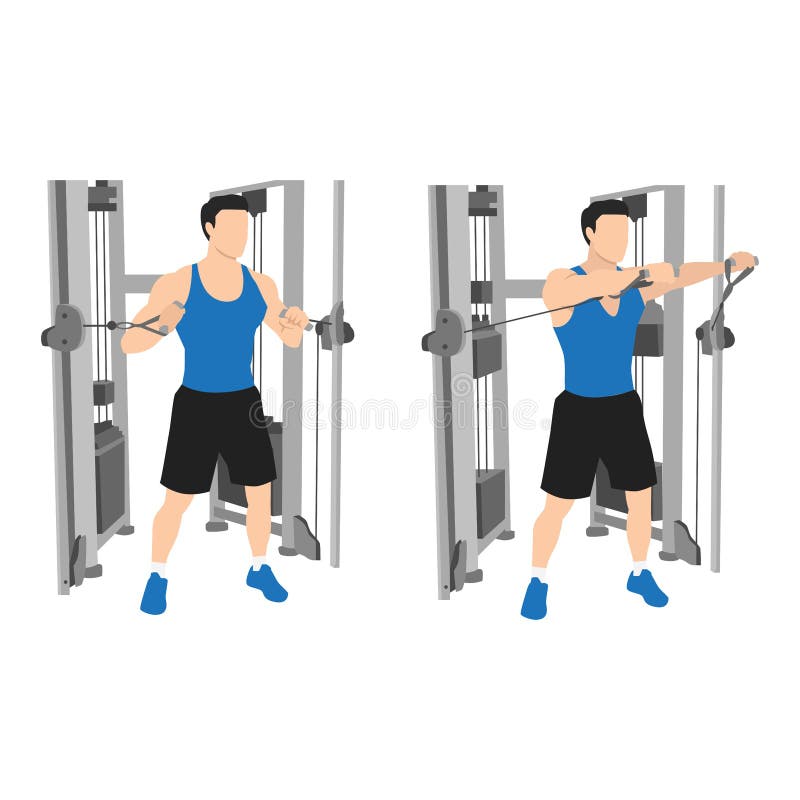 Chest Press Machine Stock Illustrations – 179 Chest Press Machine Stock ...