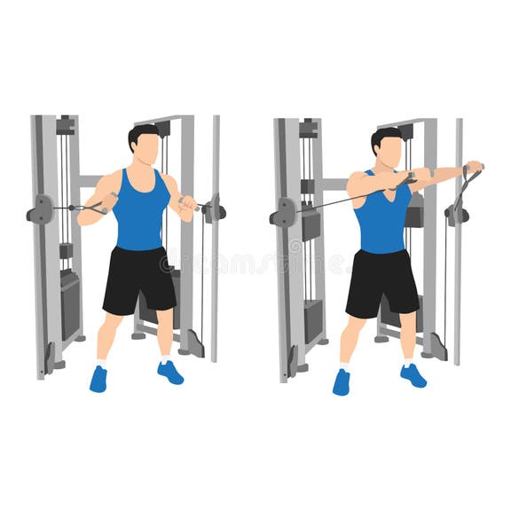 Man Doing Standing Cable Chest Press Exercise, Stock Vector ...