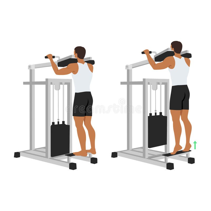 Standing Calf Raise Stock Illustrations – 22 Standing Calf Raise Stock ...