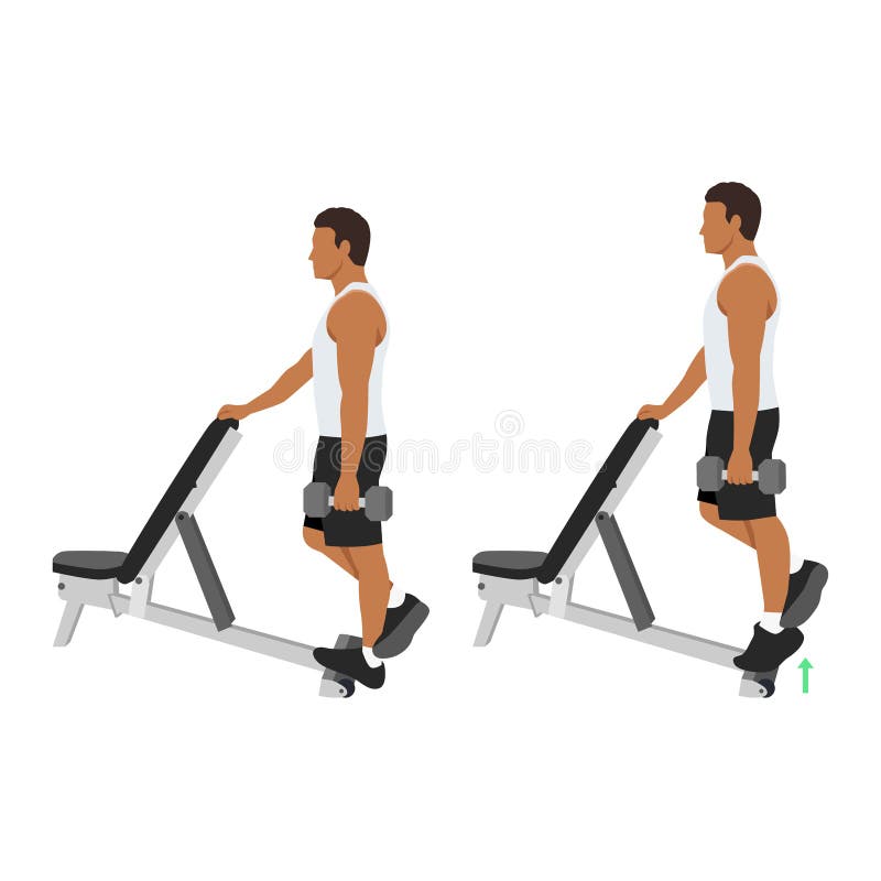 Standing Calf Raise Stock Illustrations – 11 Standing Calf Raise Stock ...
