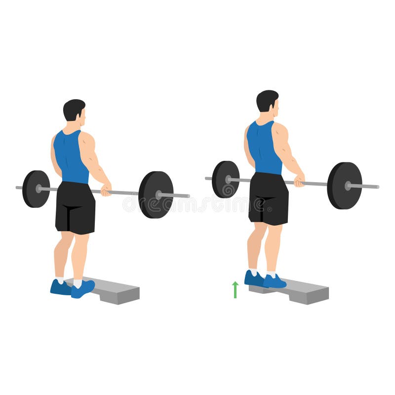 Standing Calf Raise Stock Illustrations – 22 Standing Calf Raise Stock ...