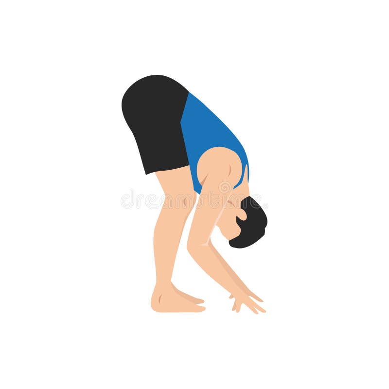 Uttanasana Flat Vector Illustration. Standing Forward Bend Stock ...