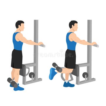 Leg Curl Machine Stock Illustrations – 83 Leg Curl Machine Stock ...