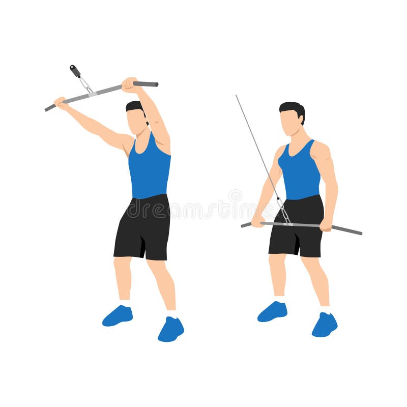 Cable Pulldown Exercise Stock Illustrations – 54 Cable Pulldown ...