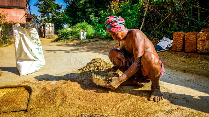 Traditional Indian Farmer editorial stock image. Image of rural - 130242614