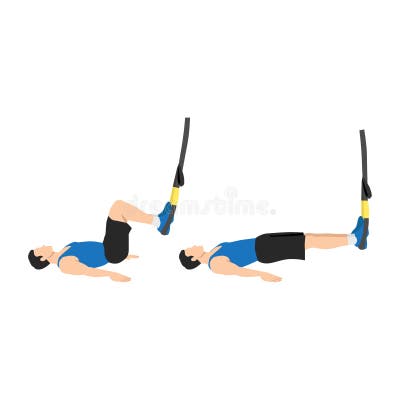Hamstring Curls Stock Illustrations – 22 Hamstring Curls Stock ...