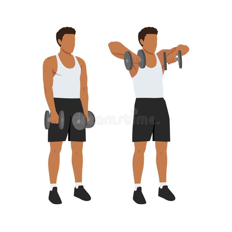 Man Doing Upright Dumbbell Rows Exercise Stock Illustration ...