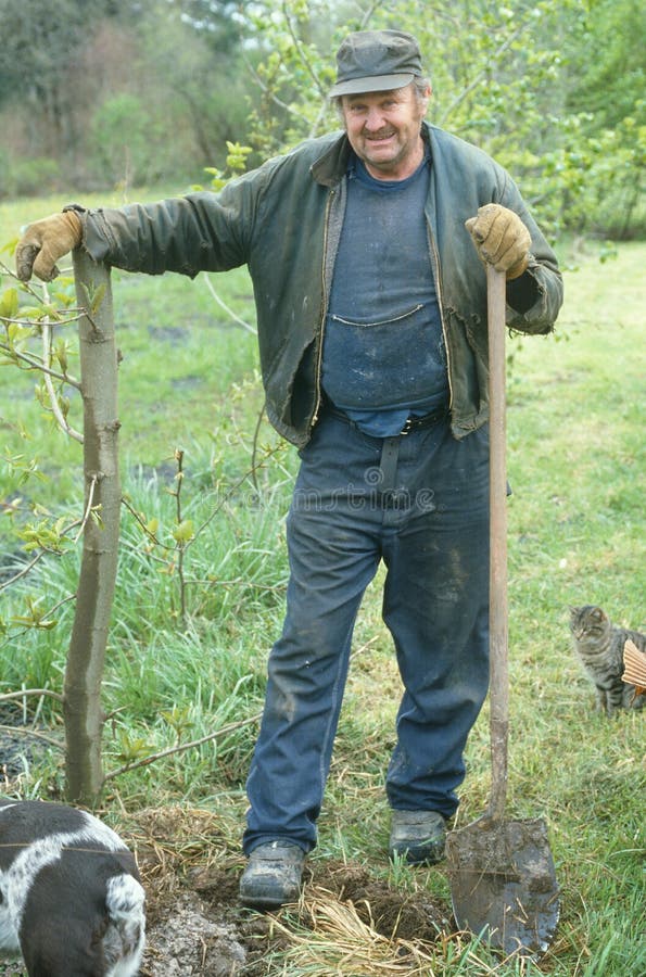 Man digging ground stock image. Image of people, hair - 4832065