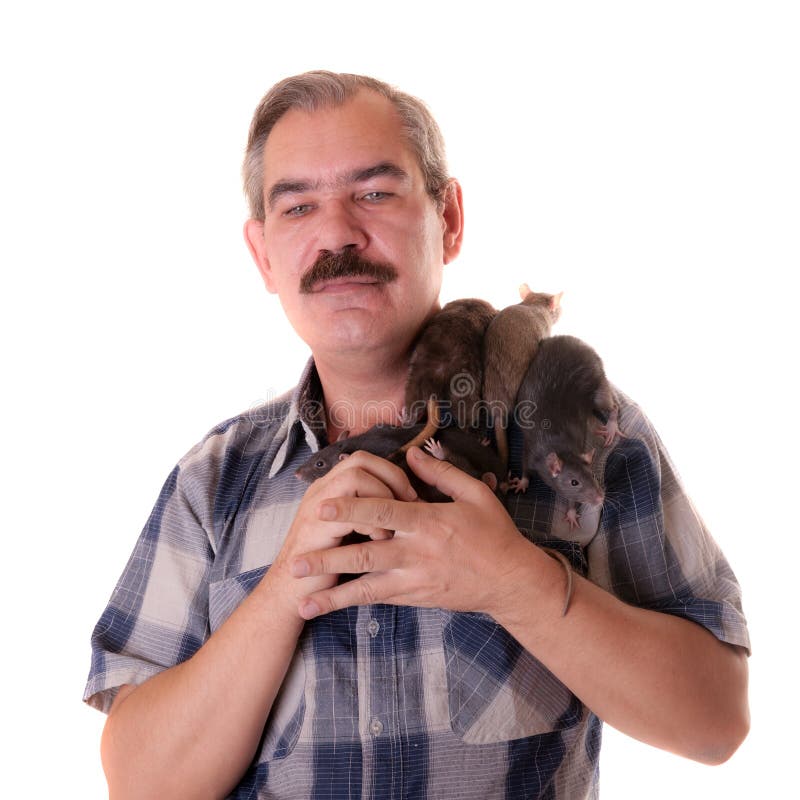 Man with domestic rats stock image. Image of adult, white - 257576061