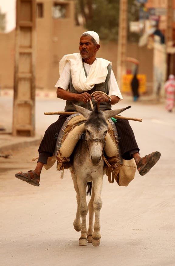 Man on a donkey editorial stock image. Image of morocco - 24440029