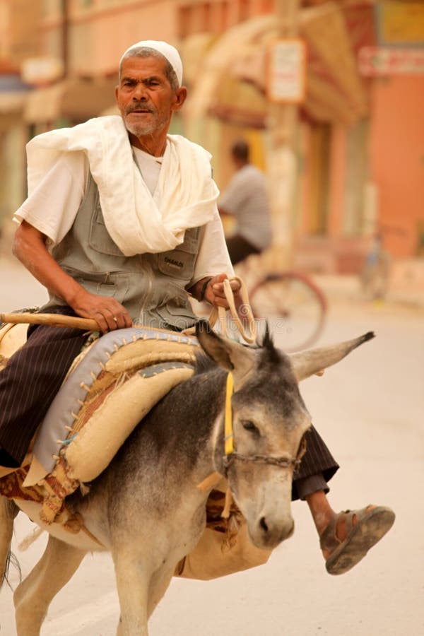 Man on a donkey editorial photo. Image of morocco, fashioned - 24440036
