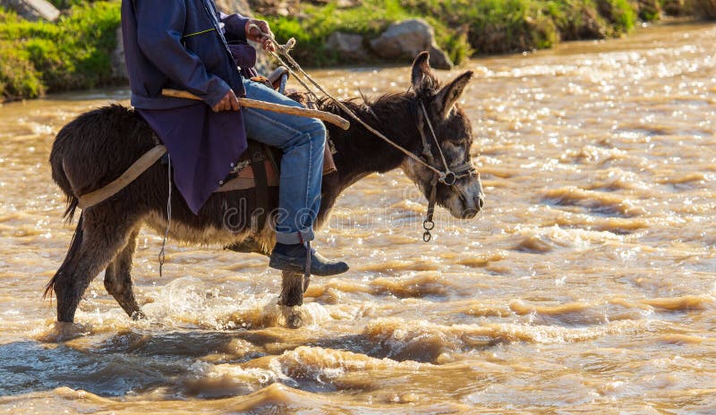 The Man on the Donkey Crossing the River Stock Photo - Image of donkey ...
