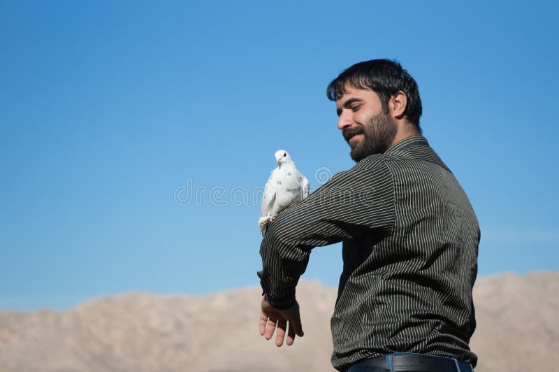 A Man Holding a Dove with Pride Stock Photo - Image of bird, clouds ...