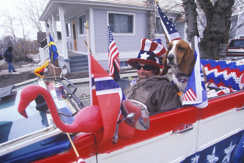 Man Driving Convertible editorial image. Image of independence - 26891280