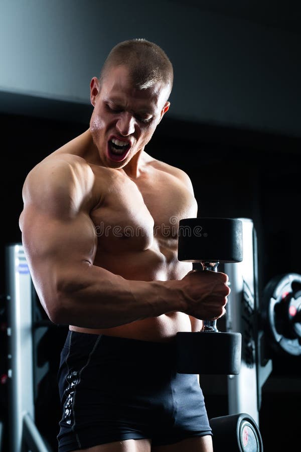 Man at Dumbbell Training in Gym Stock Photo - Image of exercise ...