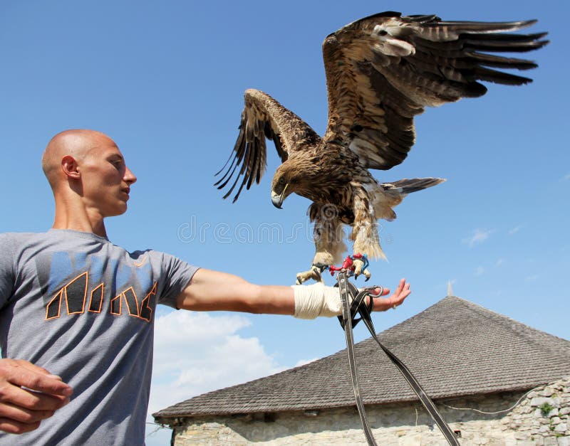 Man Spread Eagle Stock Photos - Free & Royalty-Free Stock Photos from ...