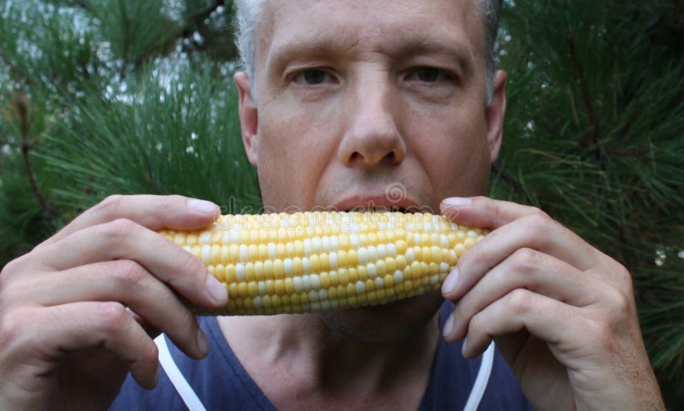 Man eating corn stock image. Image of green, corn, eating - 55356411