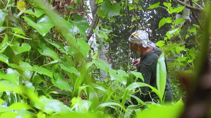A Man is Eating in the Woods. Stock Video - Video of legs, tree: 193786055