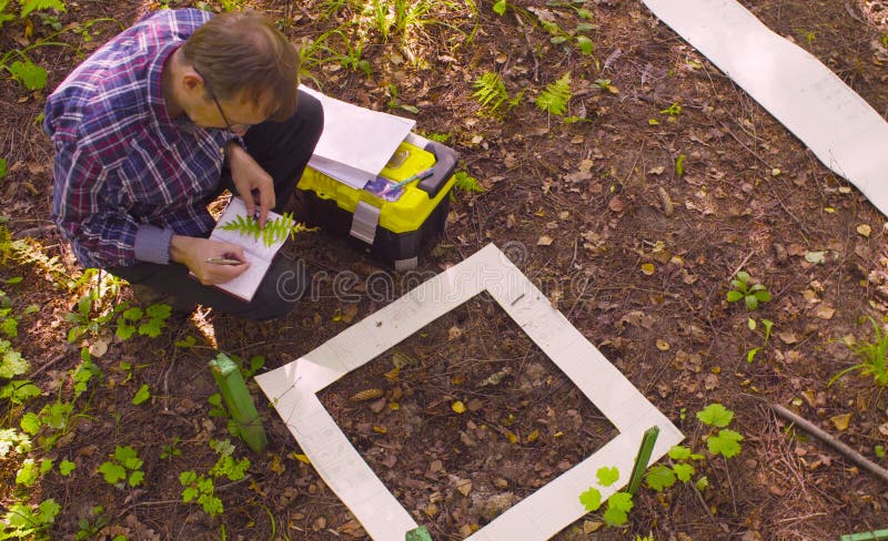 Ecologist at work concept stock image. Image of scientific - 13240559