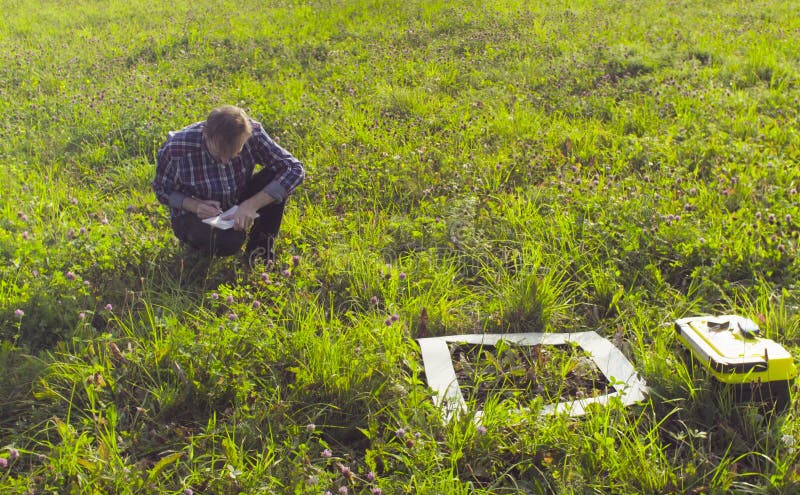 The Man Ecologist Making Notes in the Diary Stock Image - Image of ...