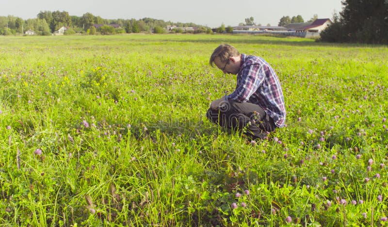 The Man Ecologist Describes the Plants Inside the Square Marking Site ...