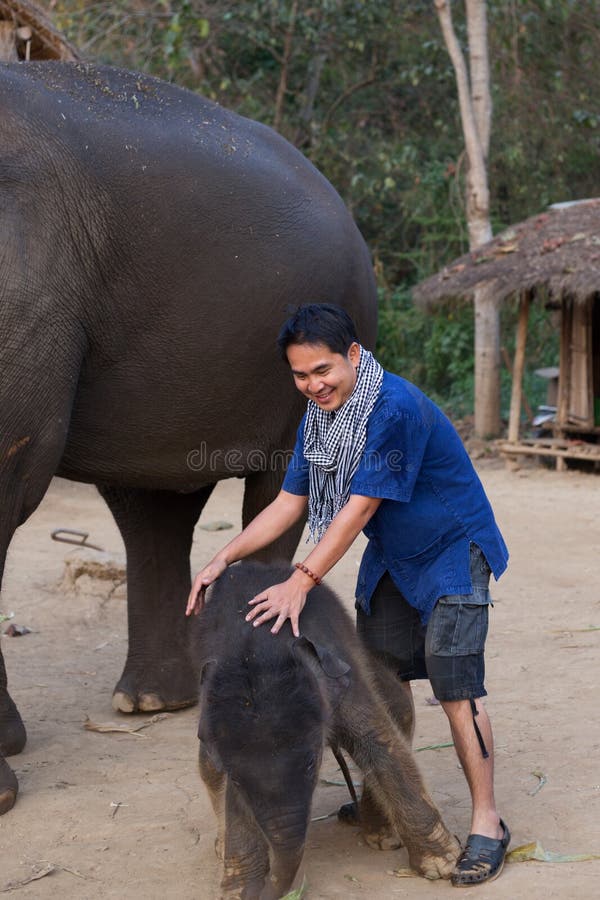 Man and elephant stock photo. Image of human, people - 102377398