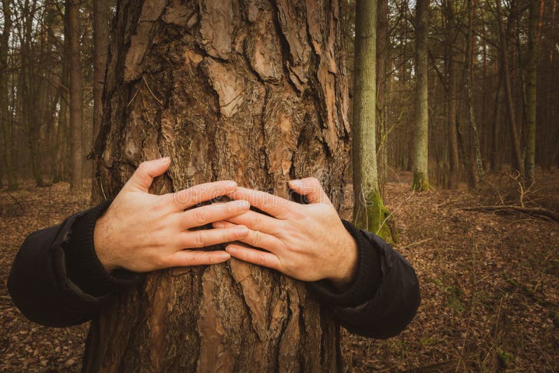 Man embracing a tree stock image. Image of environmental - 168328873
