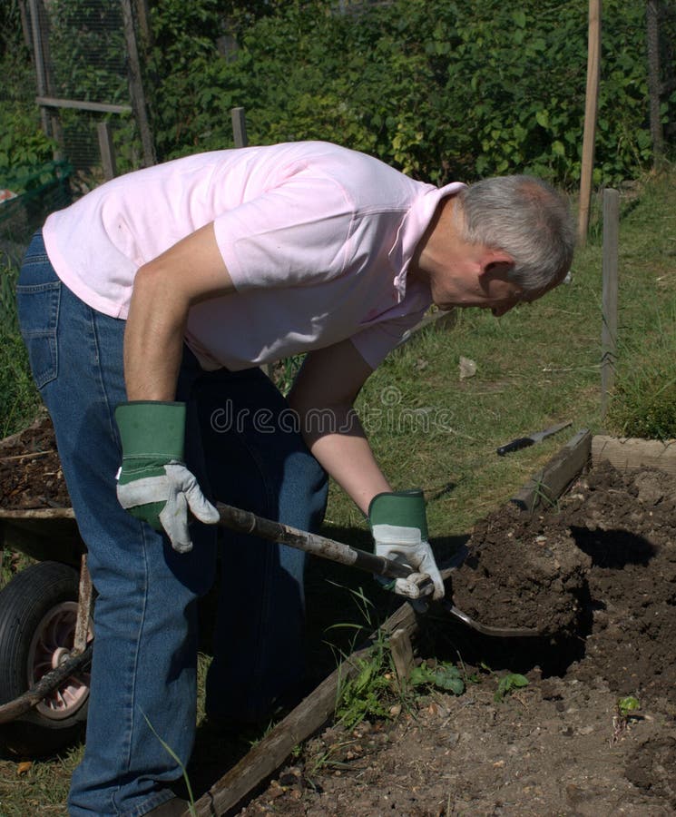 Man Energetically Digging the Soil Stock Photo - Image of soil ...