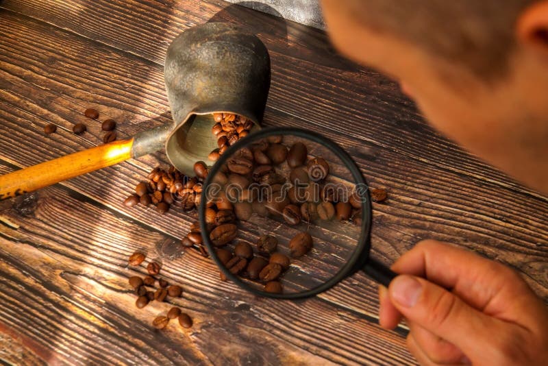 Man Examines Coffee Beans through a Magnifying Glass. Stock Image ...