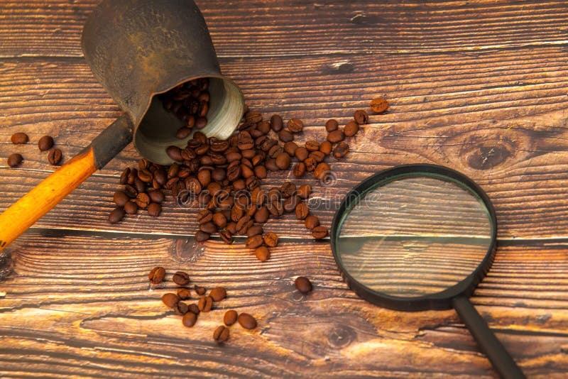 Man Examines Coffee Beans through a Magnifying Glass. Stock Photo ...