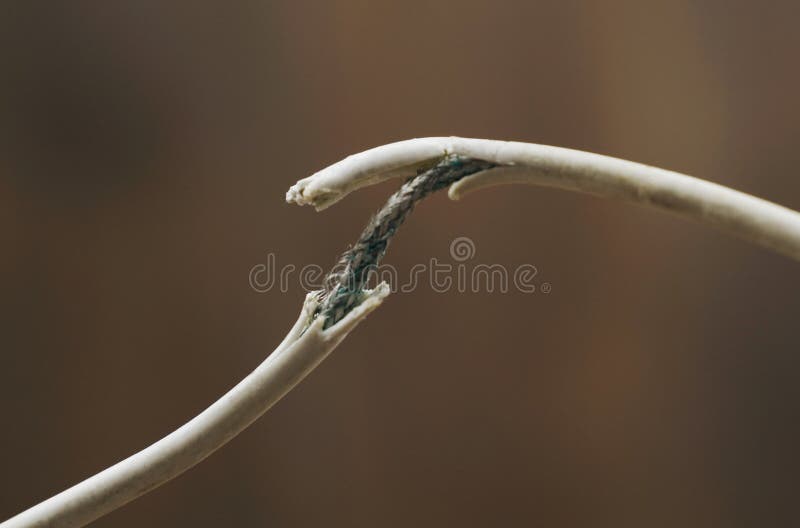 A Man Examines an Electrical Wire with Damaged Insulation. Stock Image ...