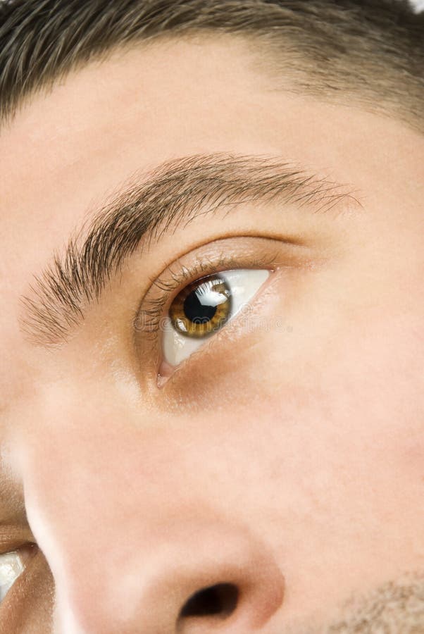 Man eye stock photo. Image of brown, clarity, detail, close - 8391300