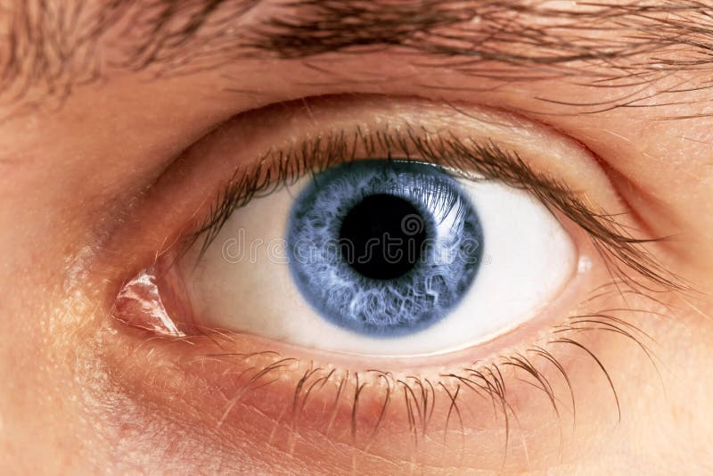 Shot of scared man eye stock photo. Image of human, sensory - 18451544