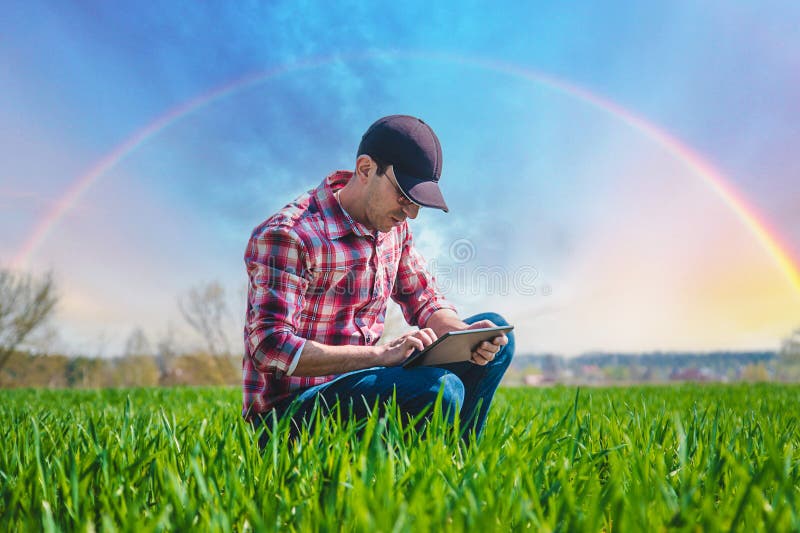 A Man Farmer Checks How Wheat Grows in the Field. Selective Focus Stock ...