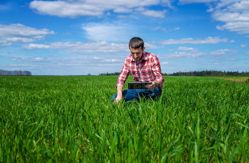 A Man Farmer Checks How Wheat Grows in the Field. Selective Focus Stock ...