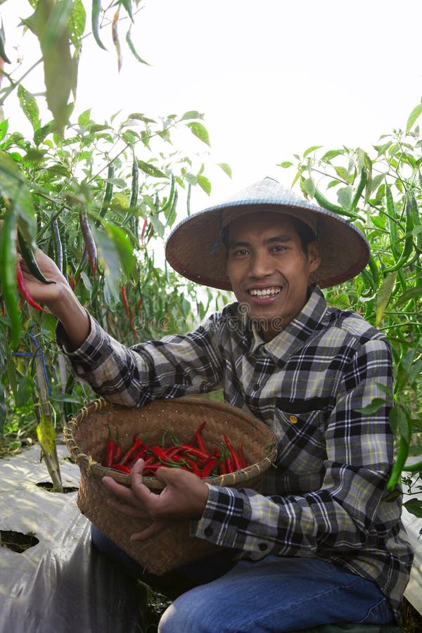 8,399 Man Eating Plant Stock Photos - Free & Royalty-Free Stock Photos ...