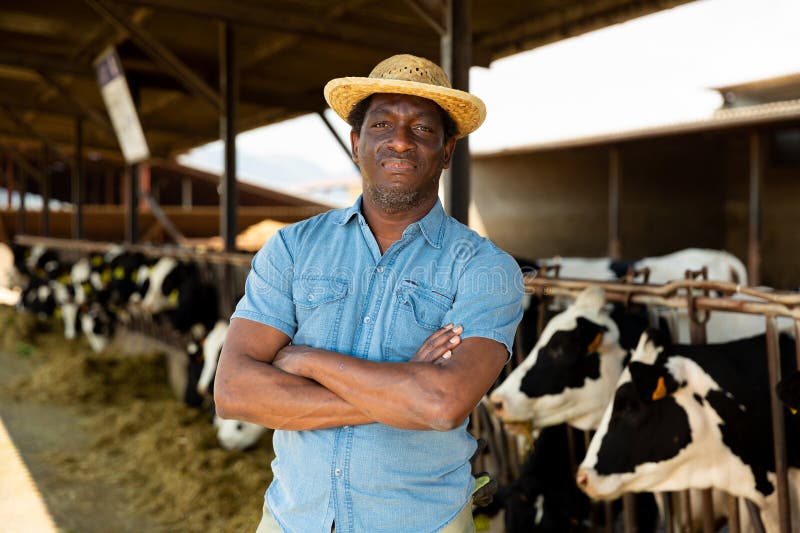 Man Farmer Posing at Cowshed on Farm Stock Image - Image of happiness ... Man Farmer Posing at Cowshed on Farm Stock Image - Image of happiness ...