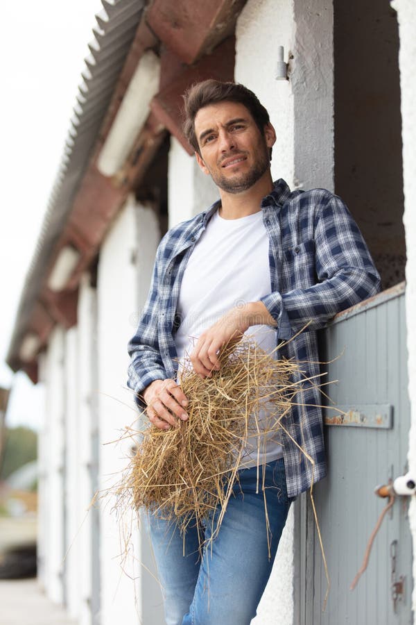 Man farmer posing with hay stock image. Image of labor - 197409891