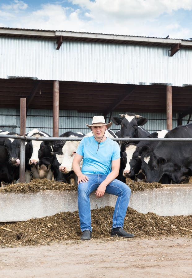 Man Farmer Working on Farm with Dairy Cows Stock Photo - Image of ...