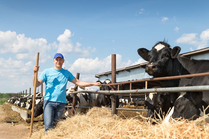 Men Working on a Farm Loading Hay Stock Image - Image of 2530, casual ...