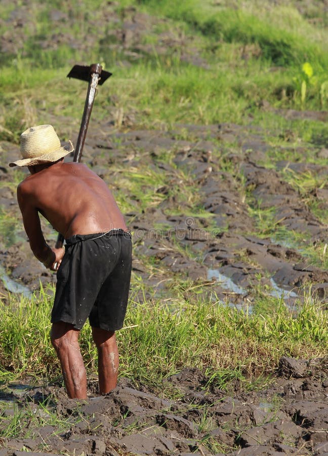 Man Farming editorial photo. Image of farm, life, agricultural - 41191361