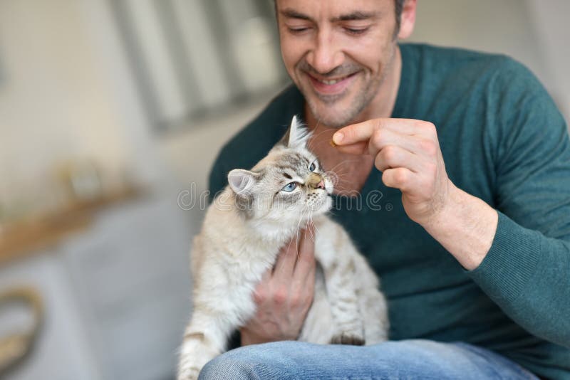 Man feeding little cat stock image. Image of manwith - 68682353