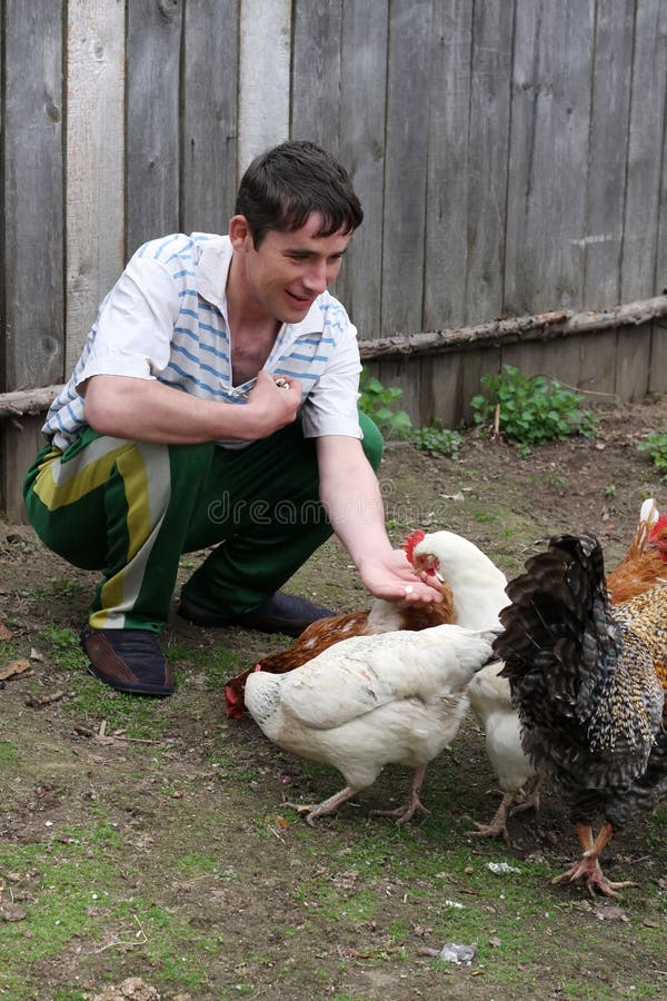 Man feeds hens stock image. Image of chicken, male, animal - 14499937