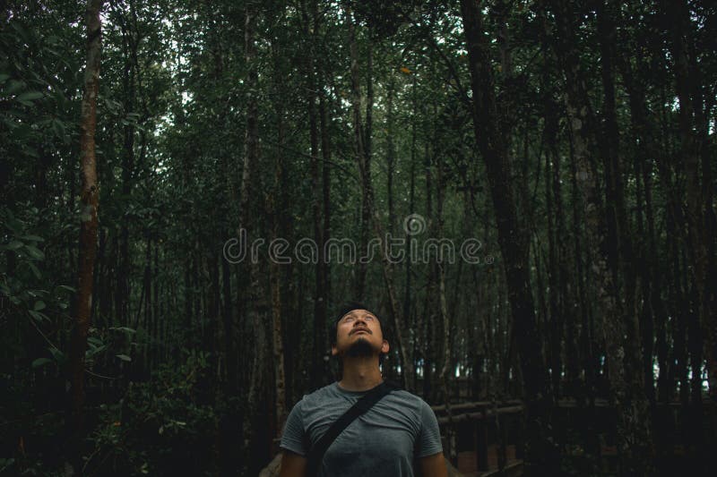 Man Feeling Amazing on How Beautiful of Mangrove Forest. Stock Photo ...