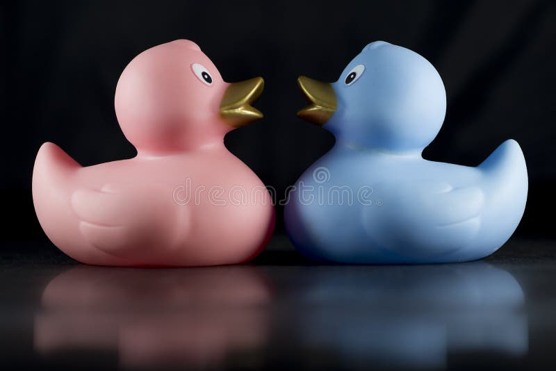 Man and female duck stock image. Image of head, person - 38622633