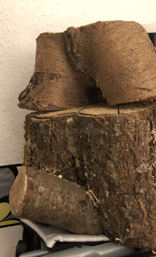 Man and Female Stack of Cut Tree Logs Indoors Stock Photo - Image of ...