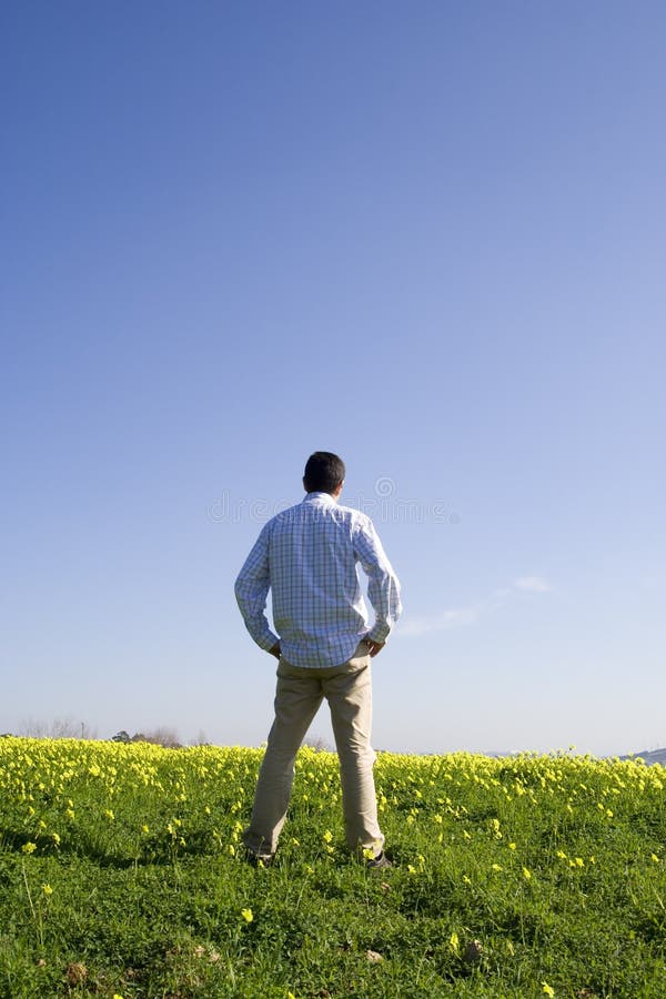 Man in the field stock photo. Image of freedom, back, field - 4367550