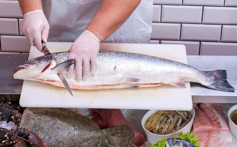 Man filleting a salmon stock image. Image of fish, slicing - 87525779
