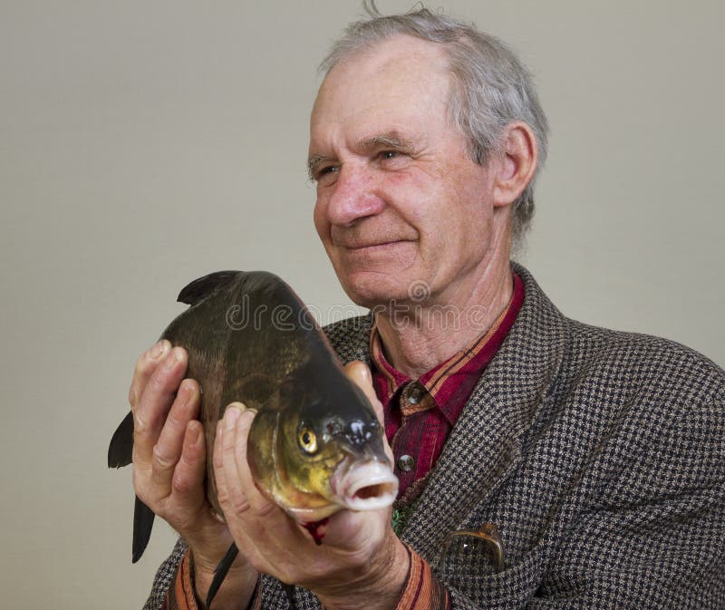 Fish. stock image. Image of horizontal, brown, animal - 17527017