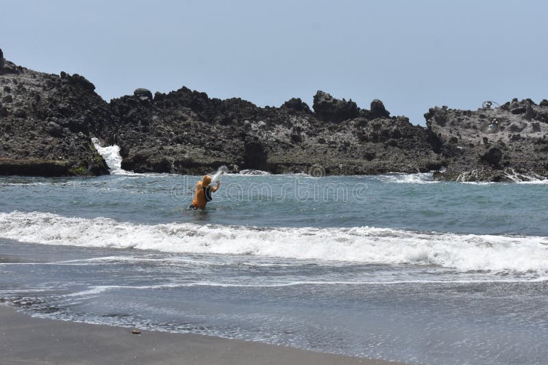 Man is Fishing Using Fishing Nets on the Beach Stock Image - Image of ...